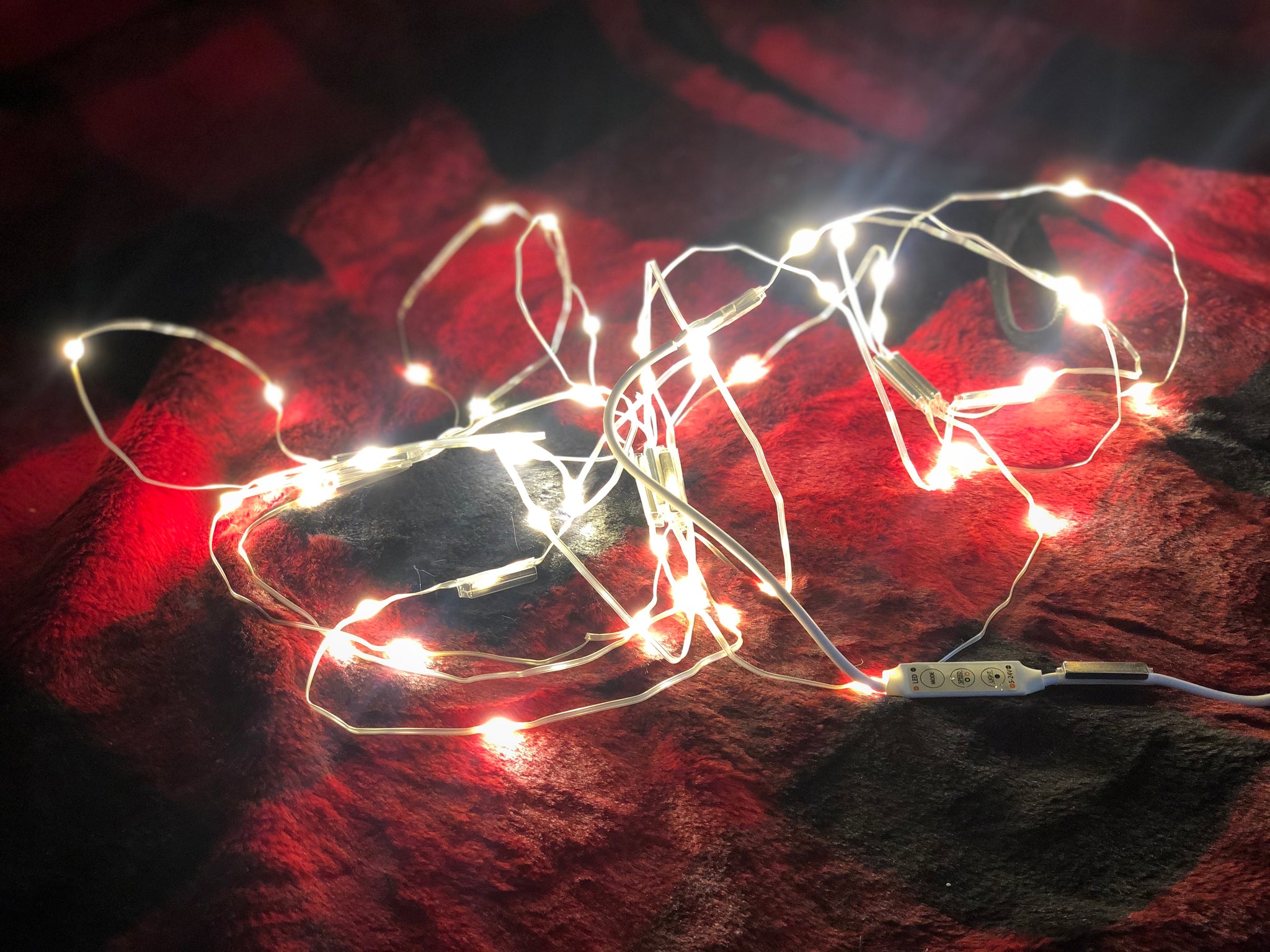 String Lights – TreePod